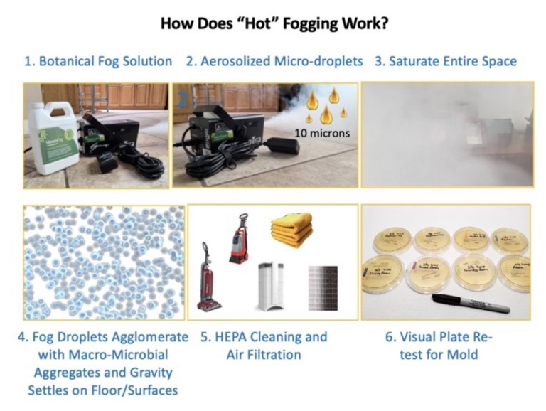 Sick Houses - Does Your House Have Clean Air? - Why You Should Consider ...